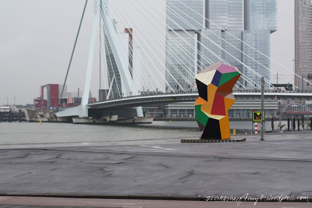 erasmusbrücke - rotterdam.