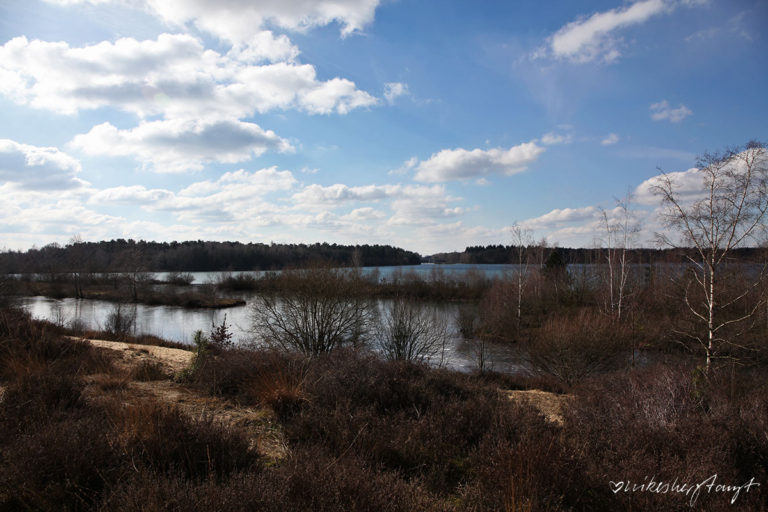 rund ums reindersmeer im nationalpark de maasduinen in holland