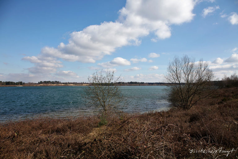 rund ums reindersmeer im nationalpark de maasduinen in holland