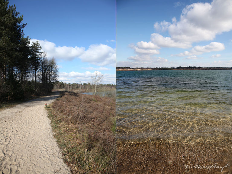 rund ums reindersmeer im nationalpark de maasduinen in holland